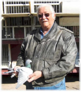 Chris Smith | Winning Pigeon Racing and Racing Pigeons Strategies ...