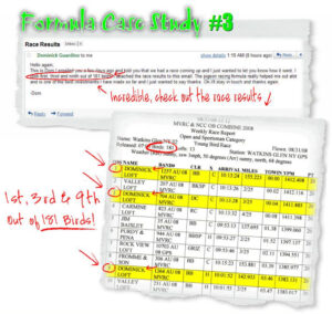 Pigeon Racing Formula Case Study #3 – Dominick Guardino | Winning ...