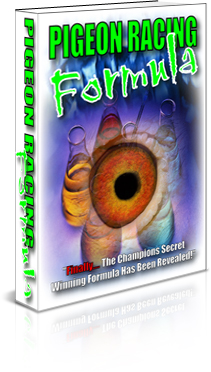 Pigeon Racing Formula Affiliate Resources | Winning Pigeon Racing and ...